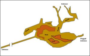 Where Do Chipmunks Nest Most of The Time? - Rodents Info